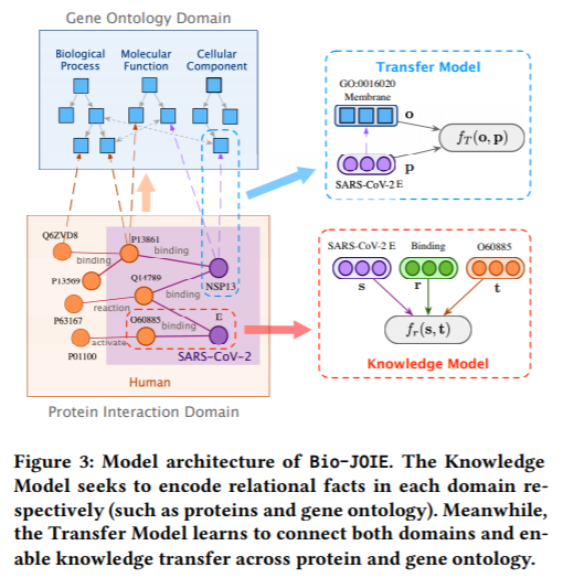 生物应用 | Bio-JOIE：生物知识库的联合表示学习 - 智源社区
