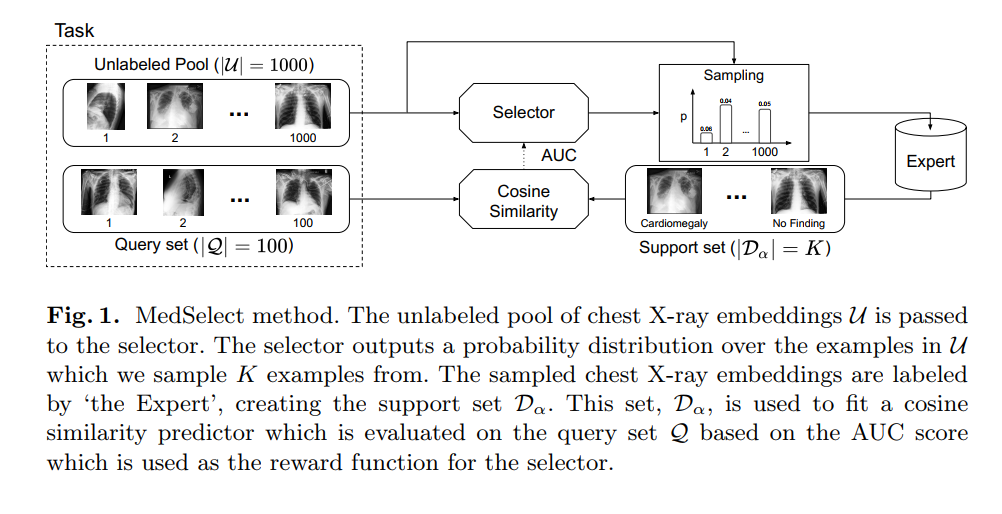 斯坦福大学 | MedSelect：将元学习与强化学习相结合的医学图像分类的选择性标记 - 智源社区